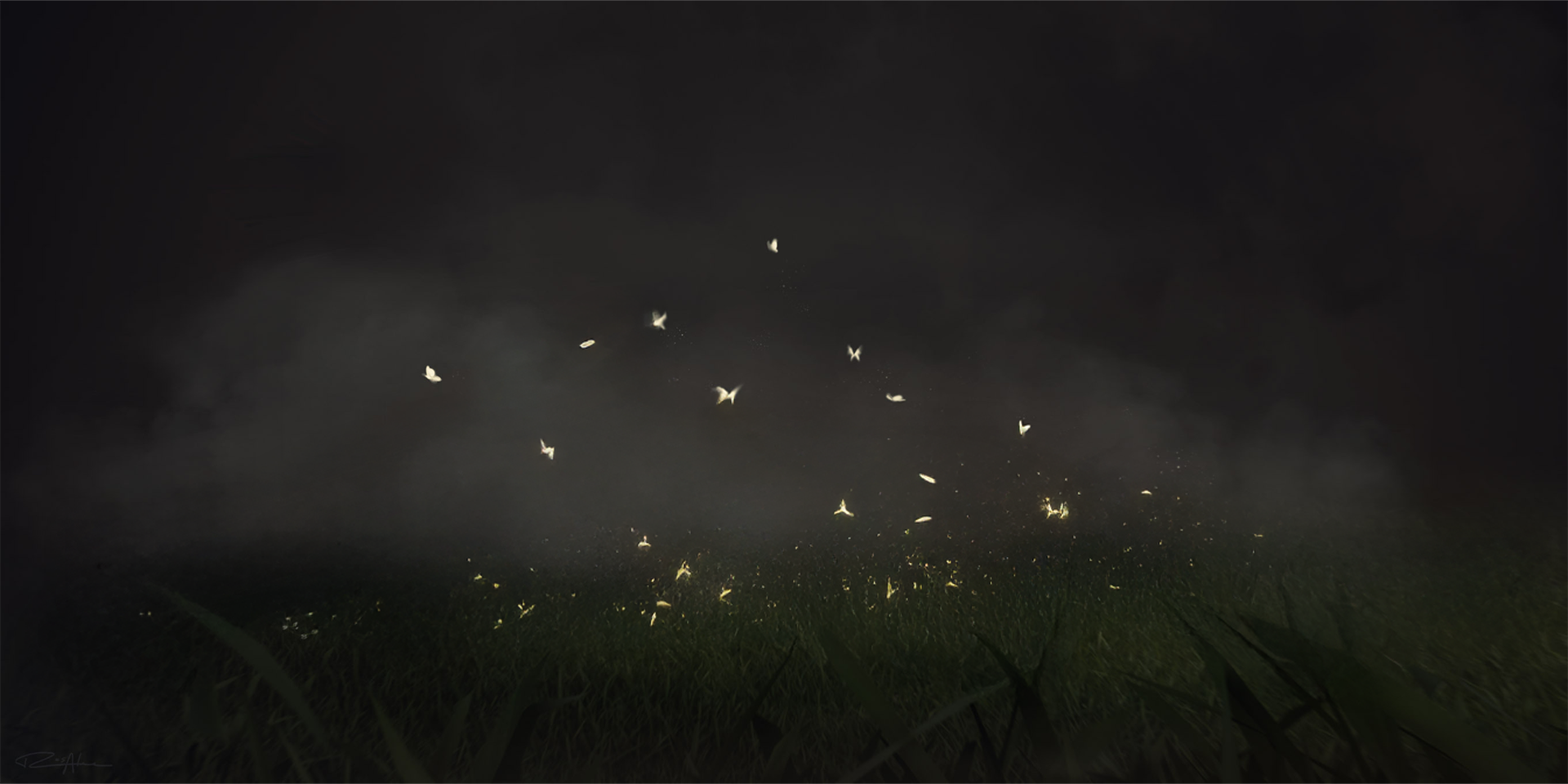 Multimedia - Soulframe